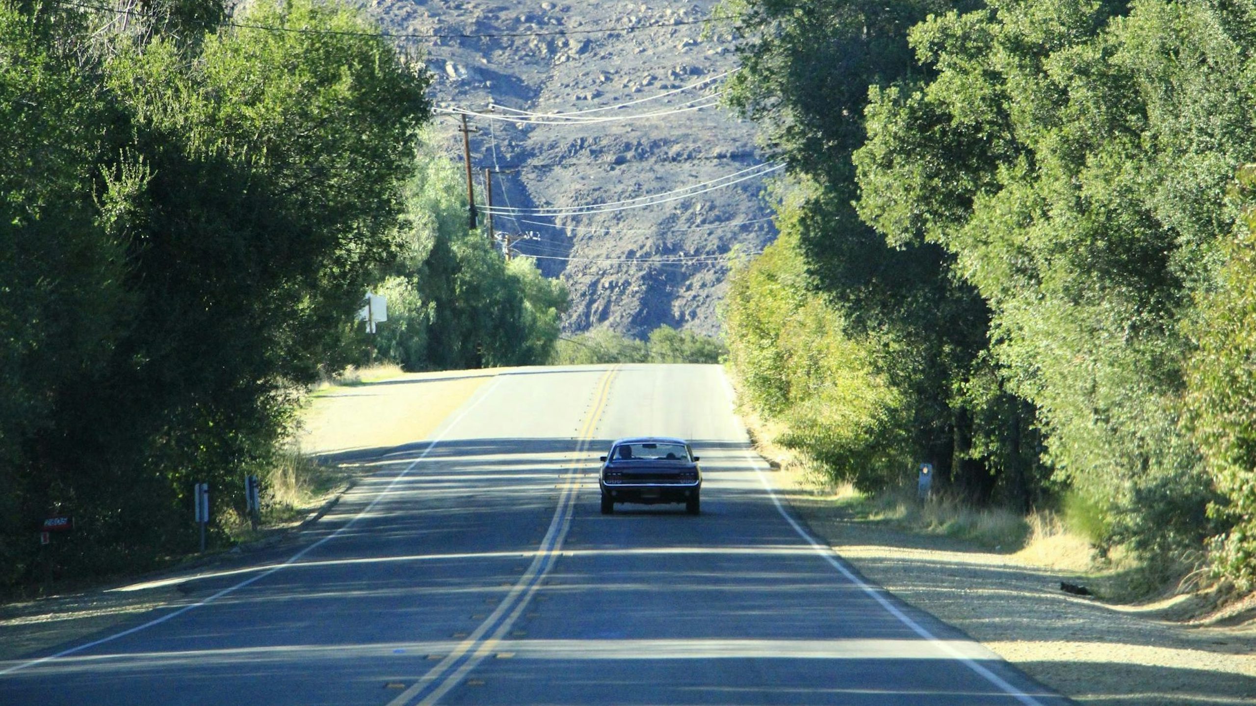 Free Hawaii DMV Practice Test 2024 | Zutobi Drivers Ed