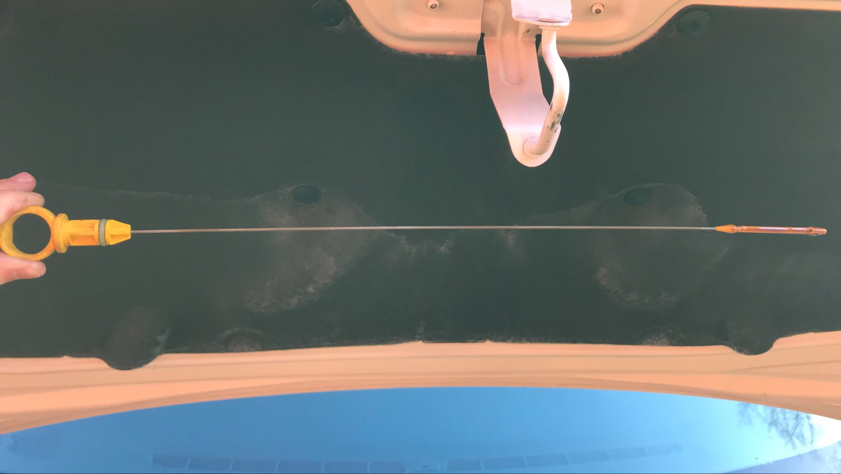 Georgia (GA) DDS Practice Test 2025 - Zutobi Drivers Ed