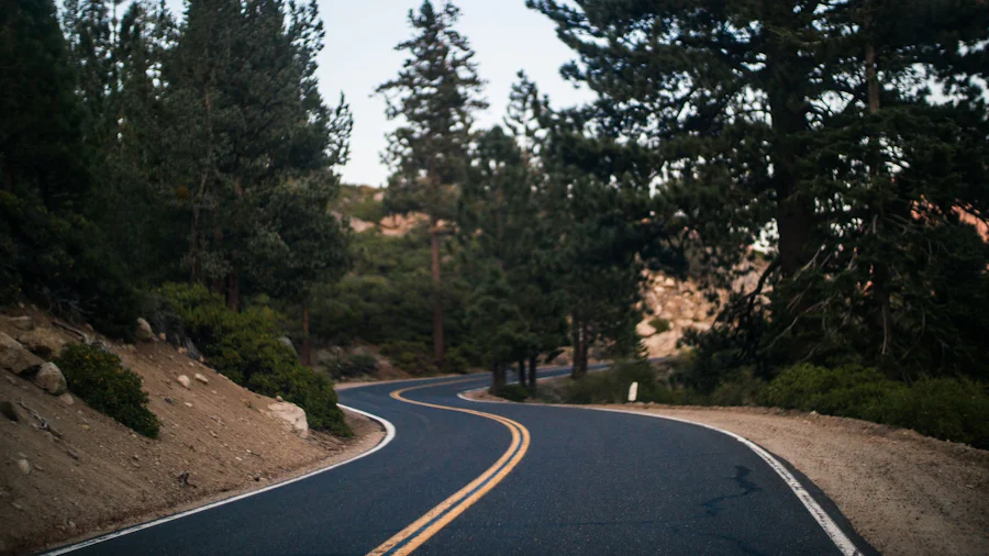 Washington DOL Practice Test 2024 | WA